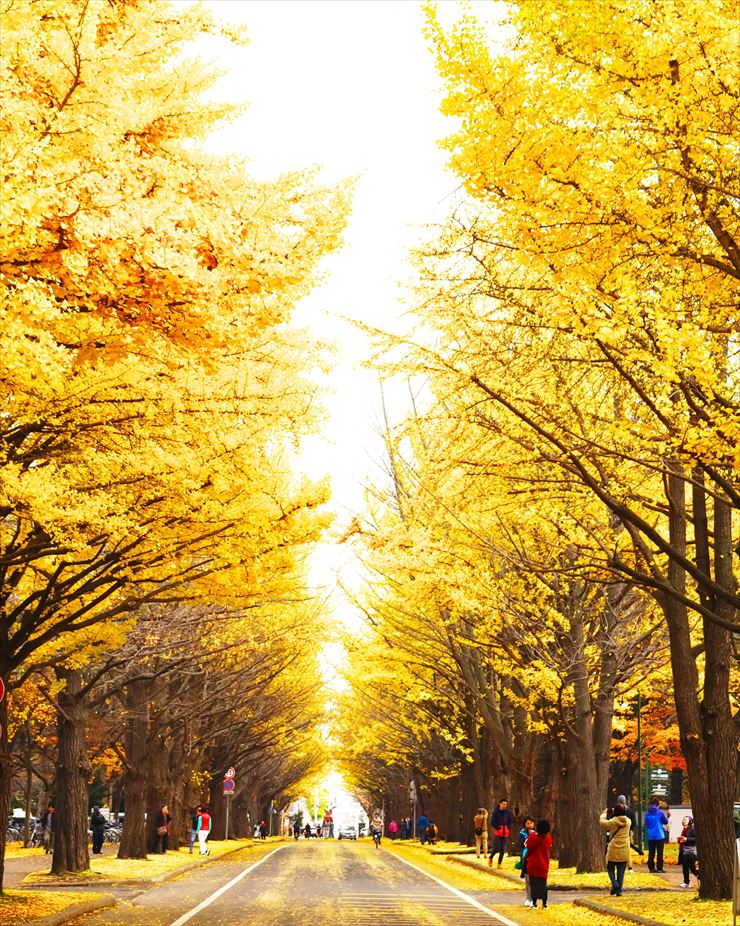 Autumn in Japan: The 8 most beautiful places to see fall foliage ...