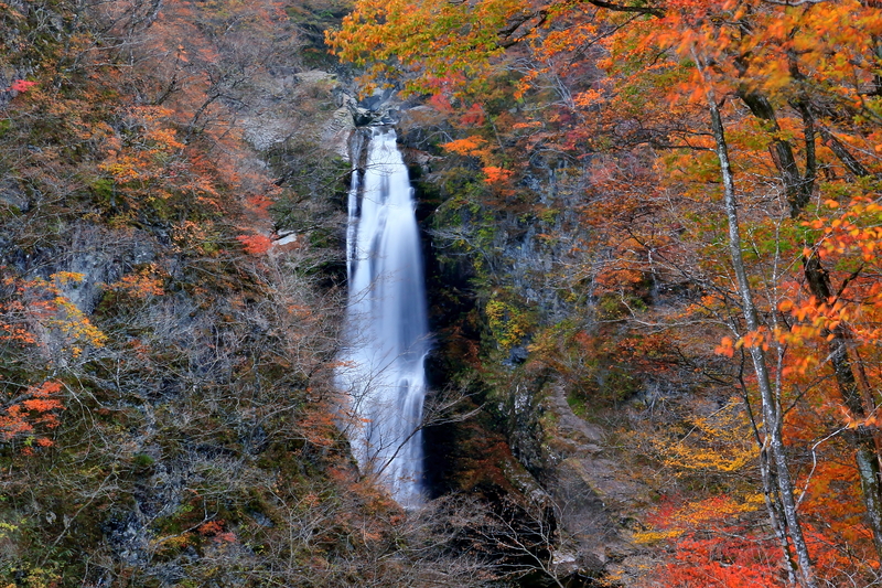 Akiu Onsen: A hot spring in the great outdoors once beloved by Japan’s ...