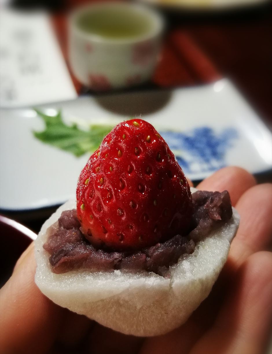 [Trip Report] Experiencing the History of Ibaraki (Part 2) at Kasama ...