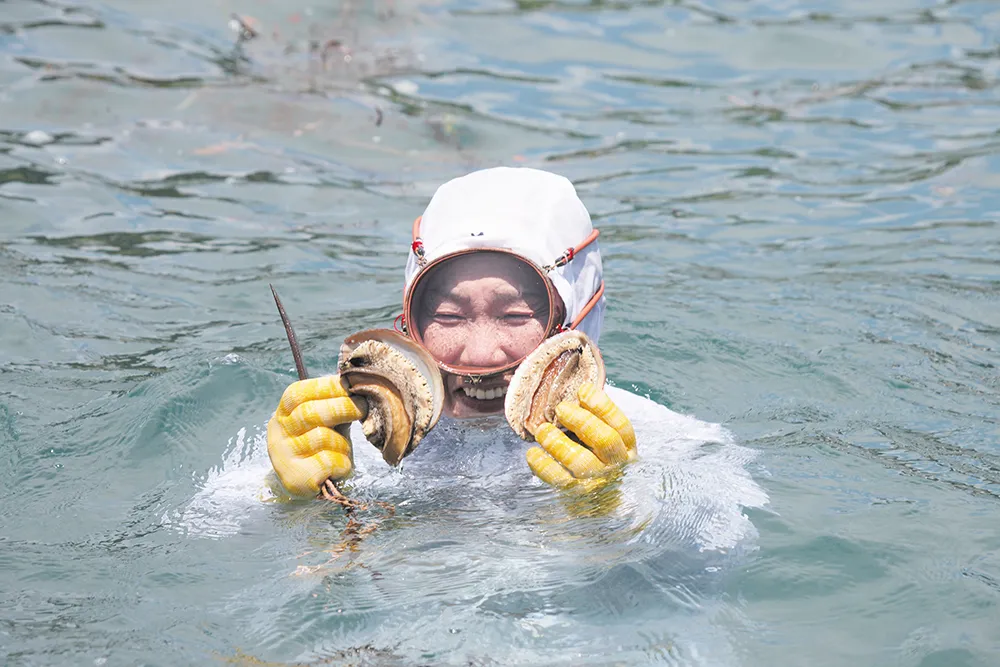 Toba Onsen-go The Seven Hot Springs of the Bountiful Seaside Town ...