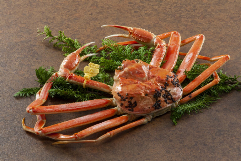 Awara Onsen: One of the biggest onsen towns in Fukui, home to a food ...