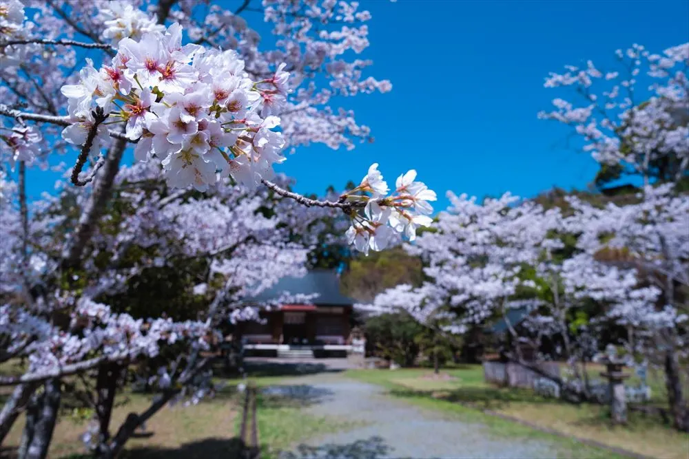 Hitoyoshi Onsen: Idyllic onsen town along a rive