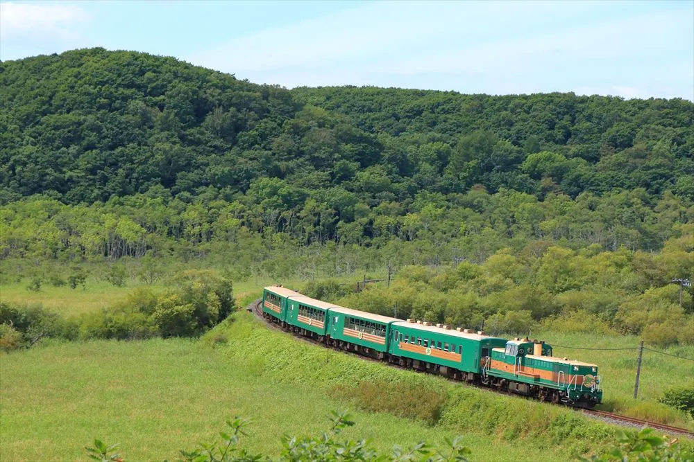 Taushubetsu Bridge: Why is it called the “phantom bridge”? The latest ...