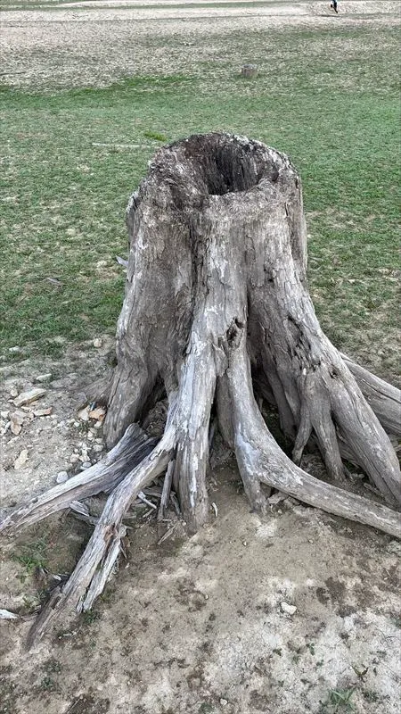 Taushubetsu Bridge: Why is it called the “phantom bridge”? The latest ...