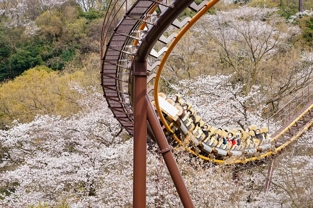 최신! 도쿄 추천 벚꽃 명소 2024 - 일본 여행 정보 미디어"att.JAPAN"