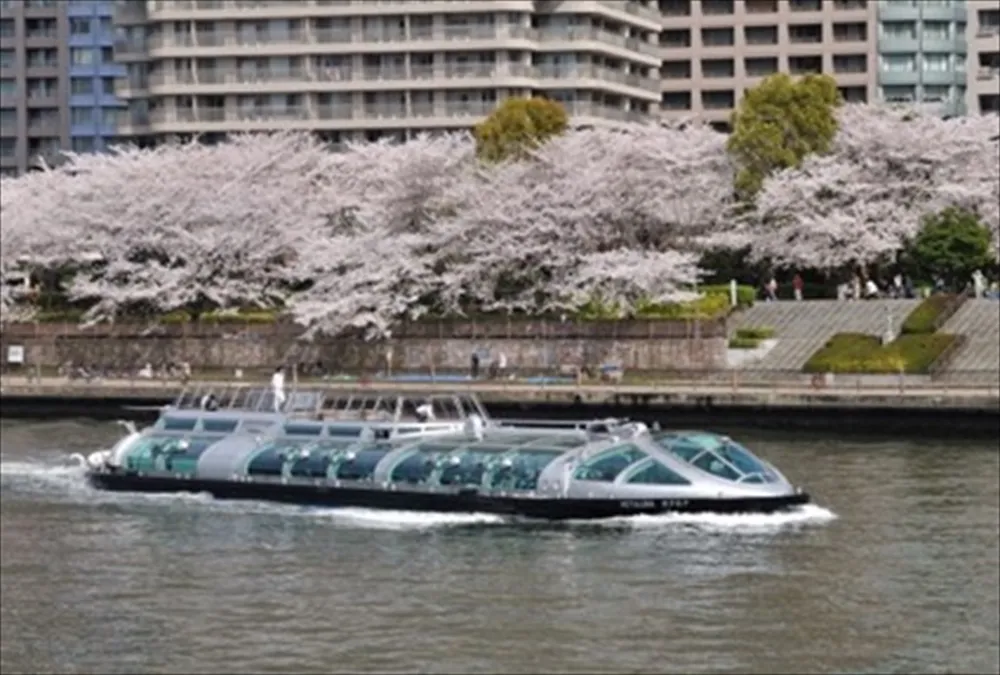 Latest Tokyo’s Best Sakura Spots 2024 - Japan Travel Guide & Media"att ...