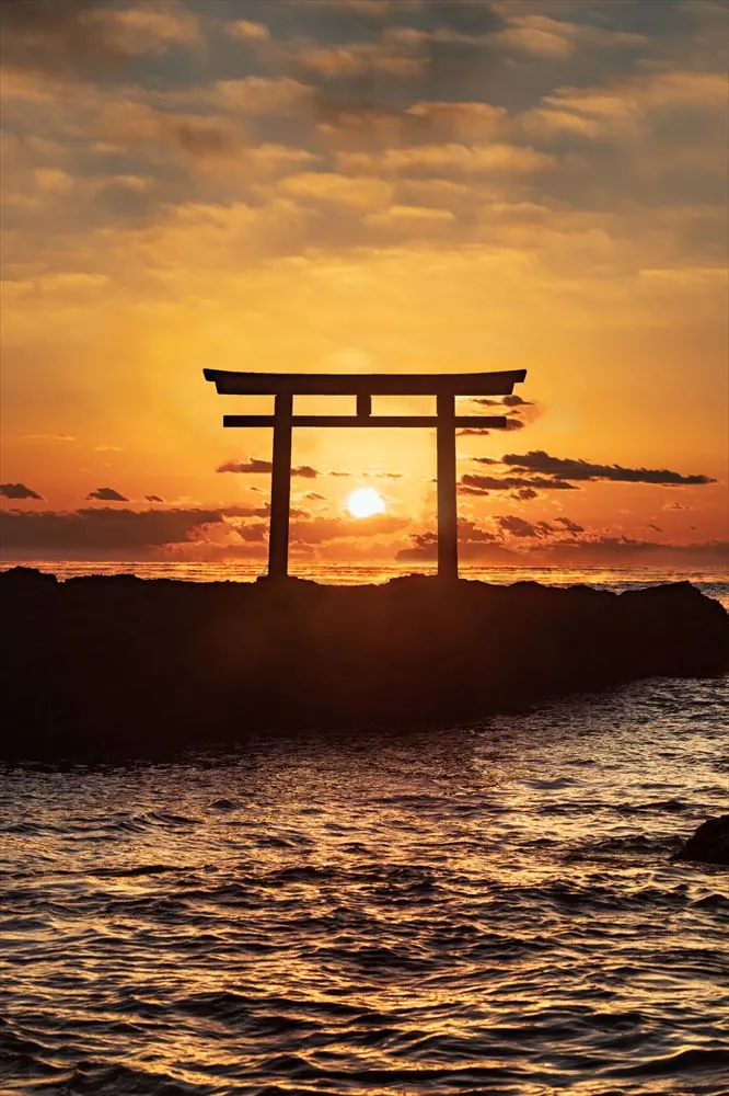 Celebrate the Japanese New Year! A Time-Honored Way to Welcome the Year ...