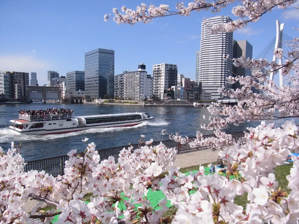 A Must-Do in Tokyo This Spring: Your Guide to Flower Viewing from March ...