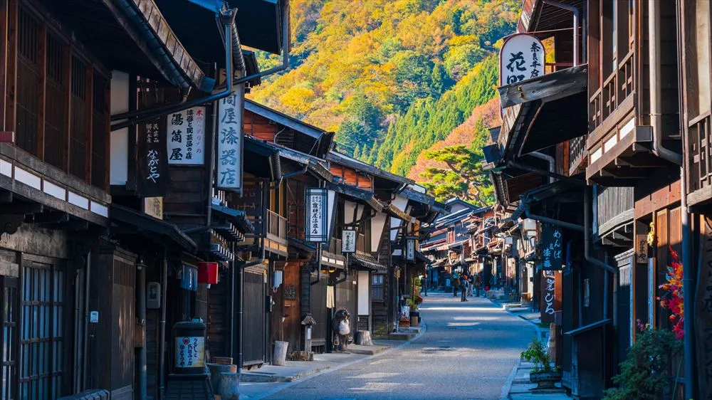 Myoken no Mori Forest: Bathe in the lush nature of Japan's best ...