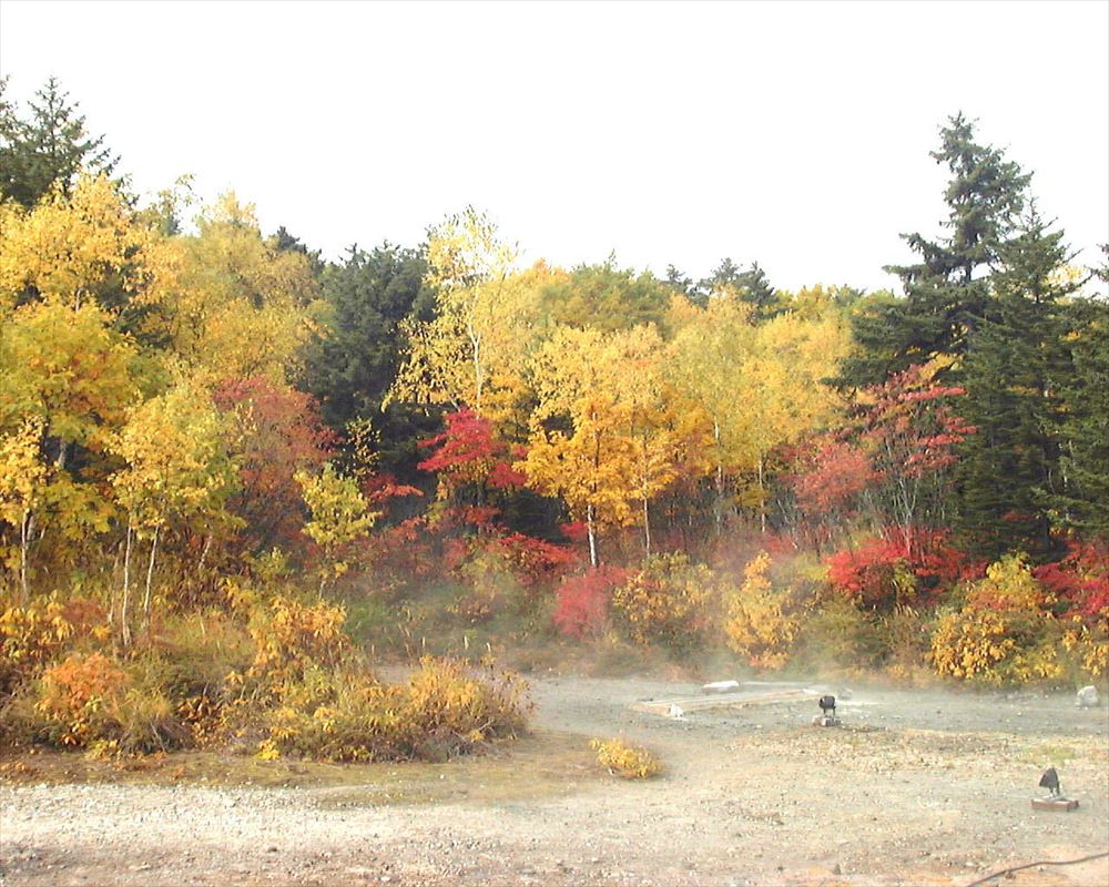 Kawayu Onsen: A renowned hot spring born from Japan’s largest caldera ...