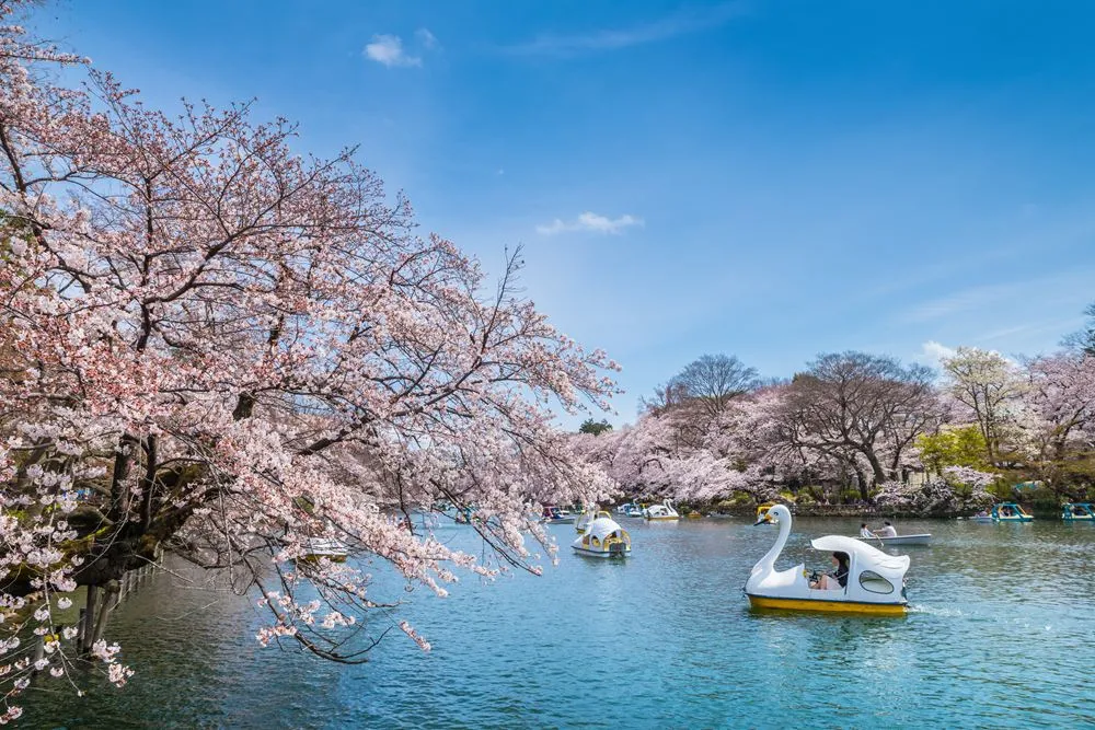 Transportation & IC Cards in Japan: Suica, PASMO, ICOCA - Japan Travel ...