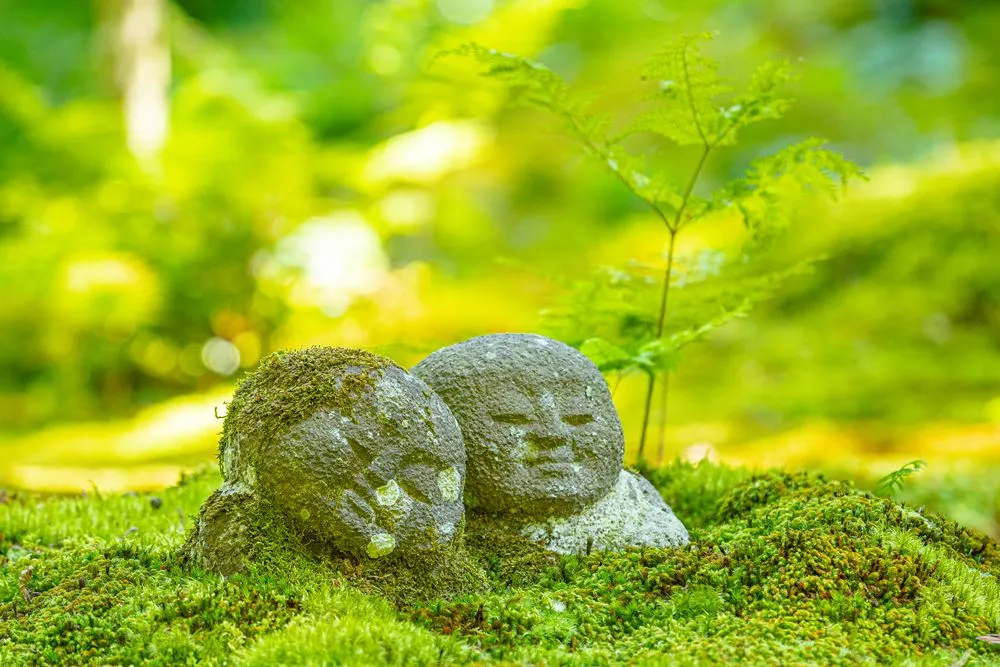 Enjoy Kyoto in Summer: How to Beat the Heat and Where to Go🪭 - Japan ...
