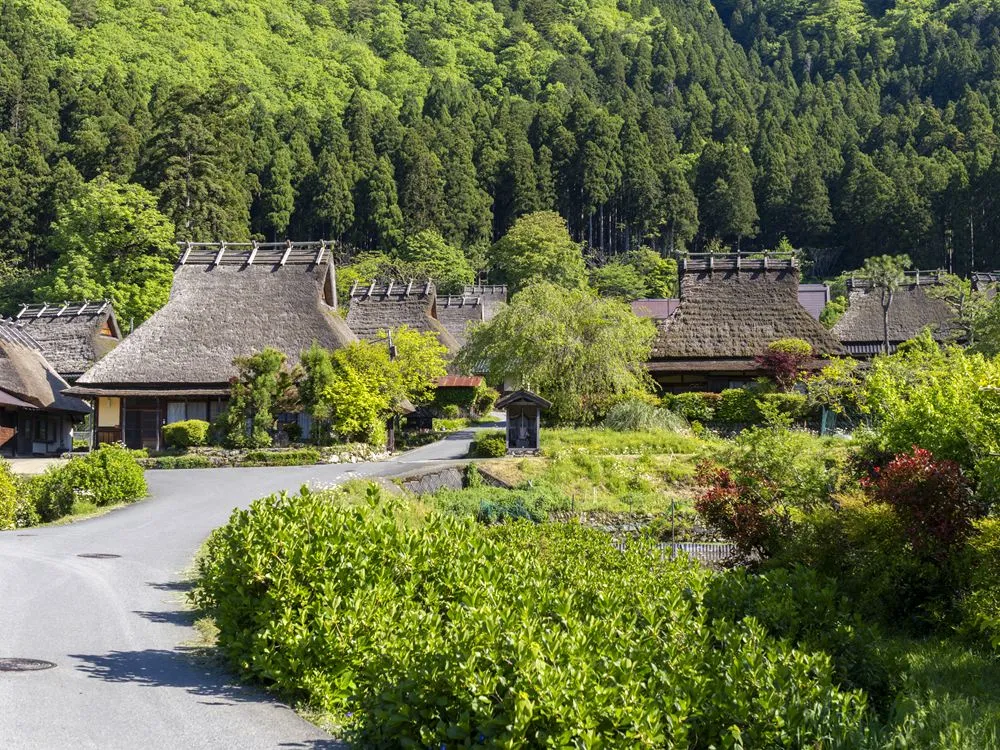 Enjoy Kyoto in Summer: How to Beat the Heat and Where to Go🪭 - Japan ...